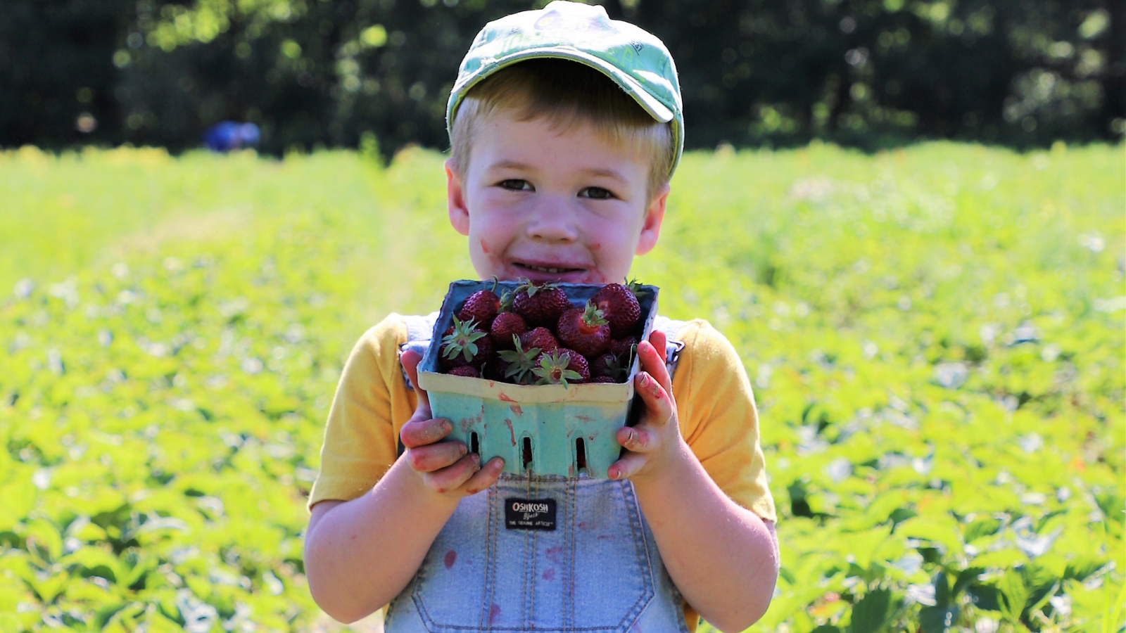 A Strawberry Recipe From Chef Rob Dumas - Real Maine
