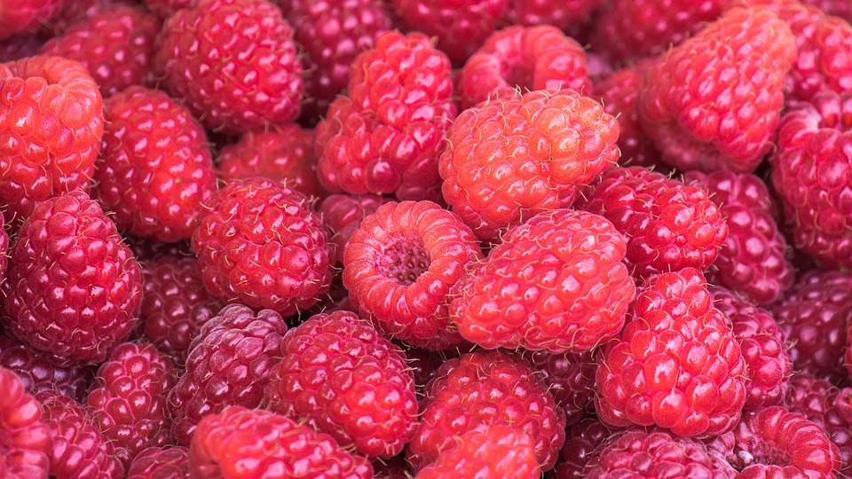 Raspberry Recipes For The Season - Real Maine