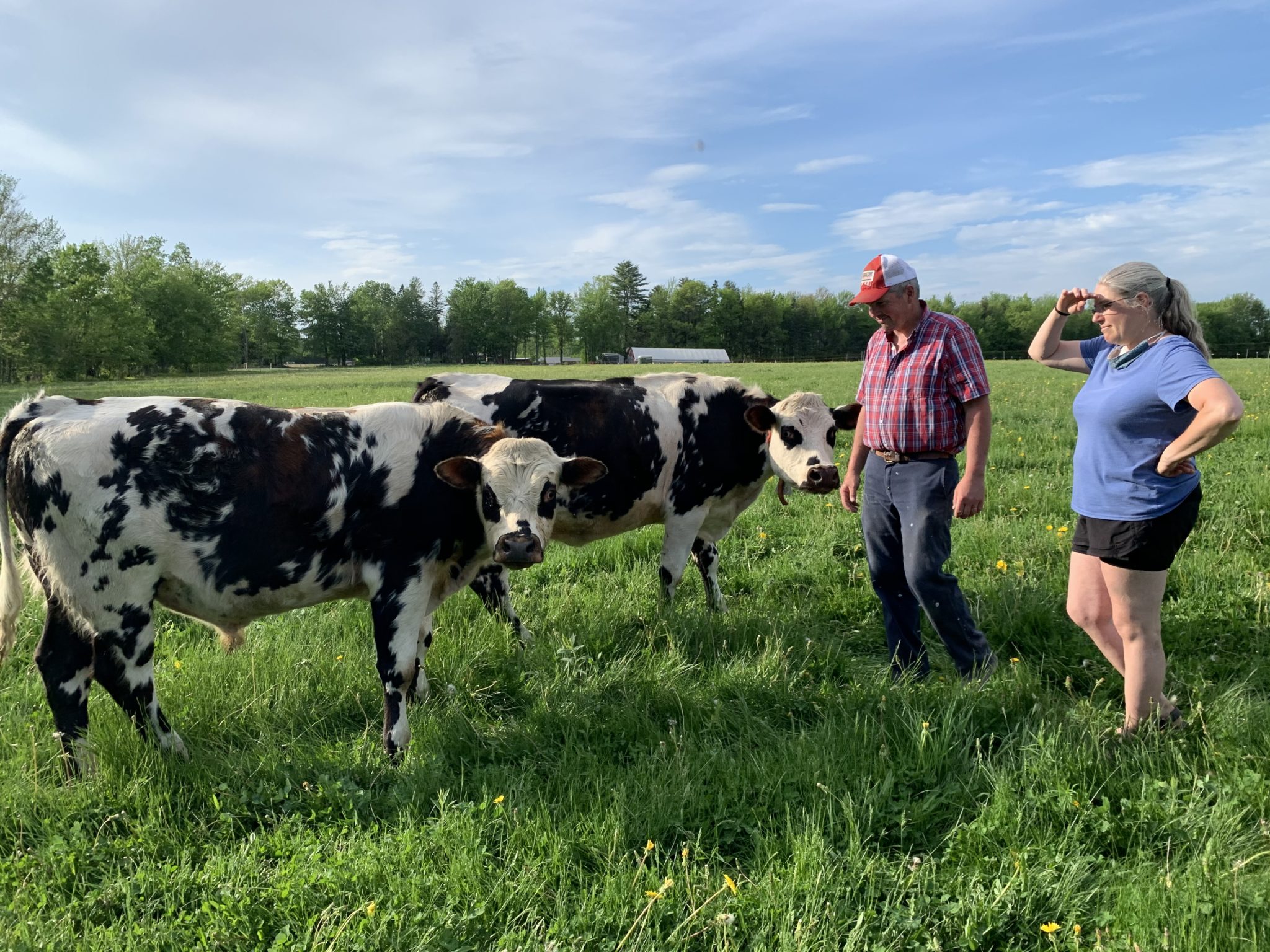 Choose Real Maine Dairy Products - Real Maine