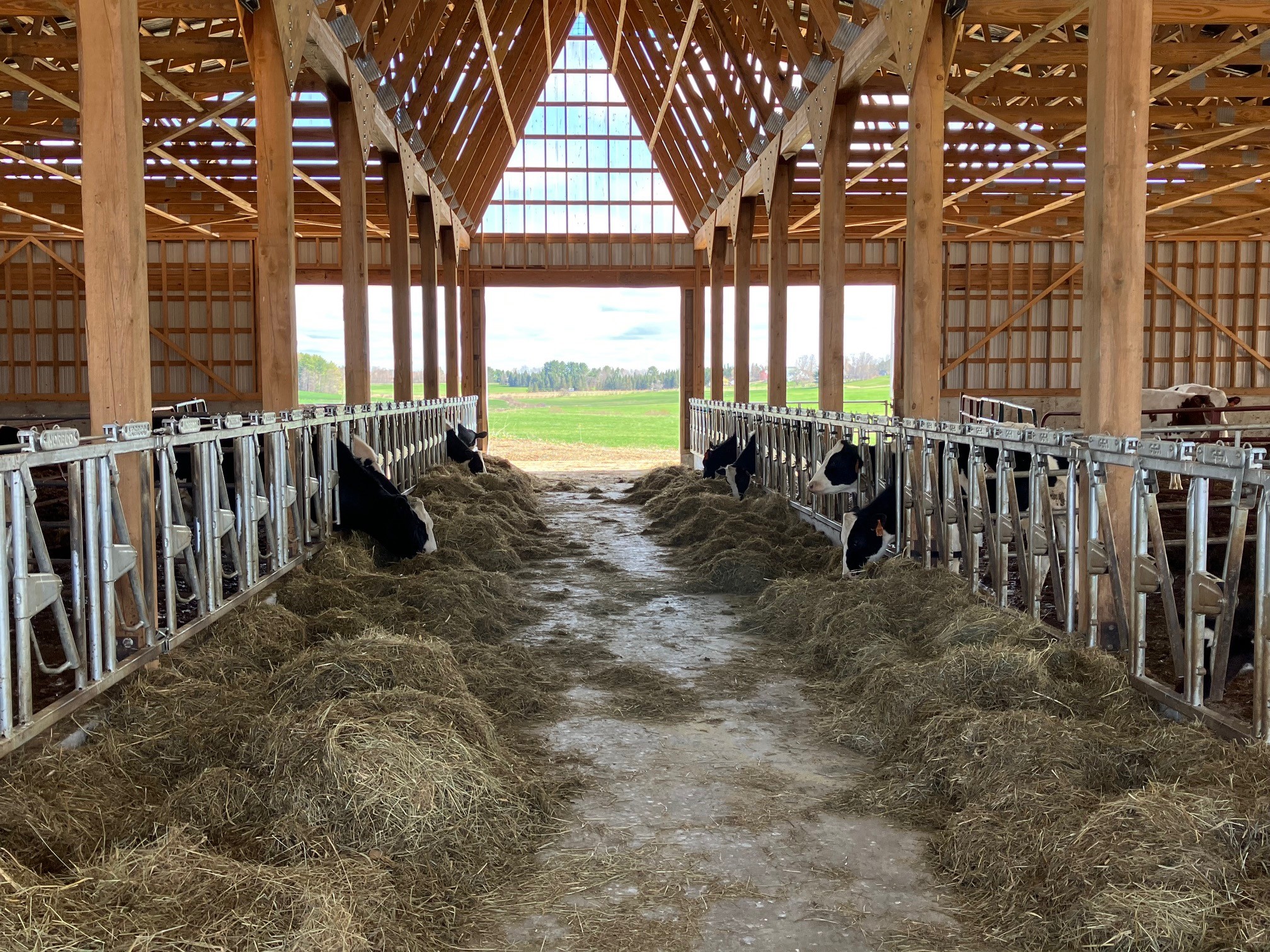 Celebrate Dairy Month With Real Maine - Real Maine