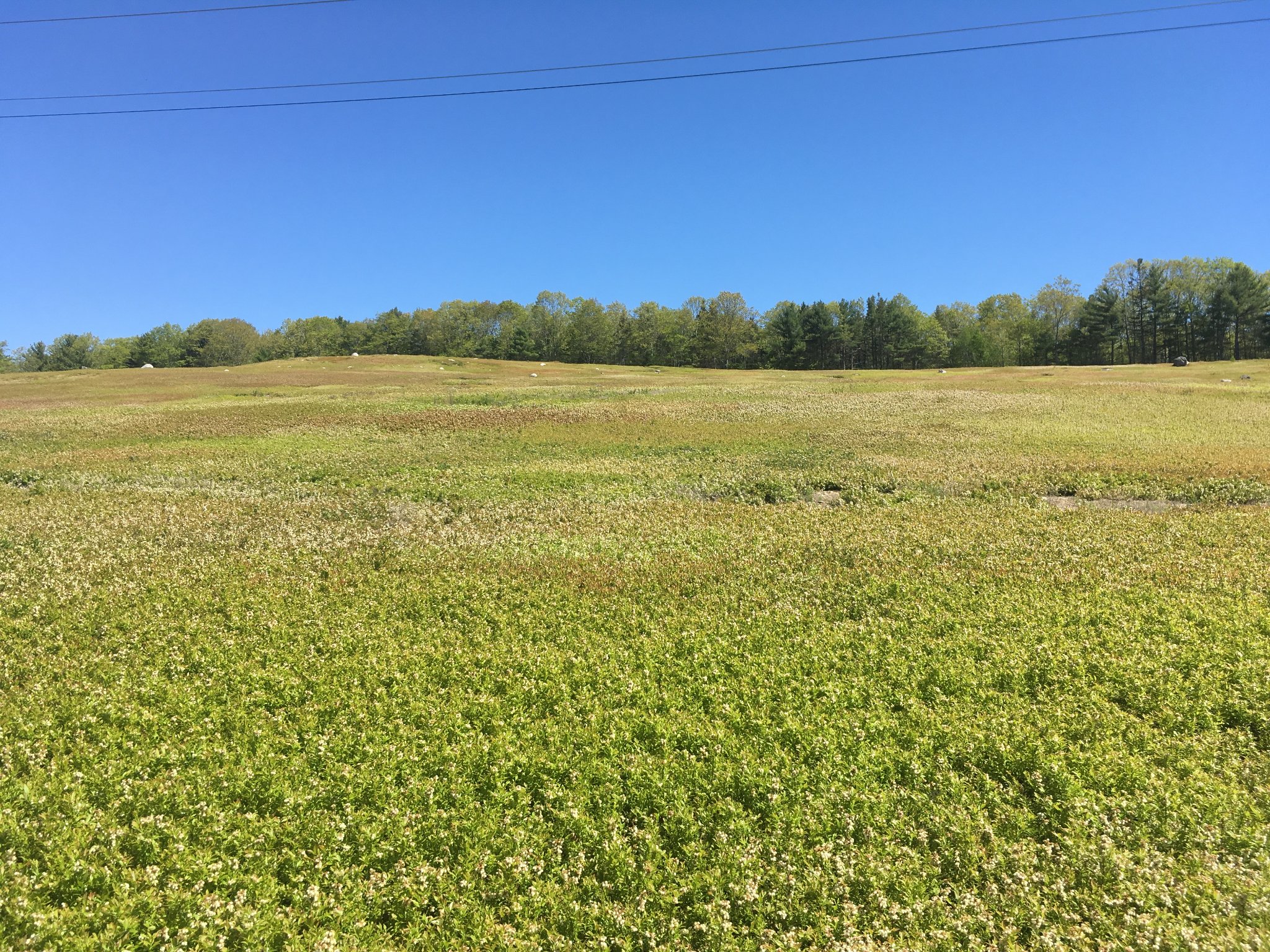 Real Maine Spotlight: Burke Hill Farm's Delivery Model - Real Maine