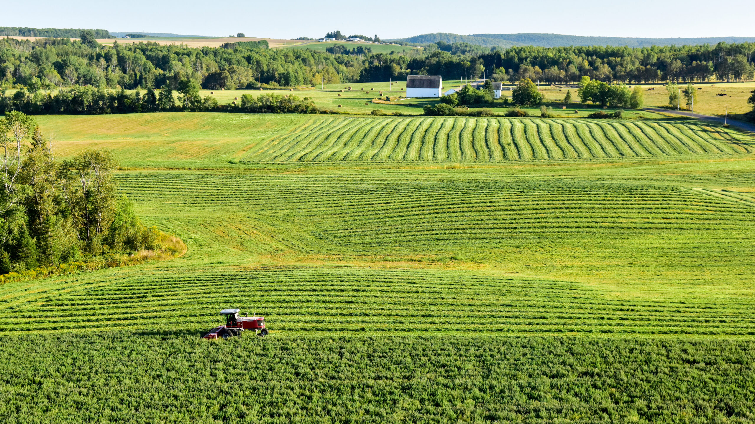 Maine Open Farm Day 2024 Trip Itineraries and Maps - Real Maine
