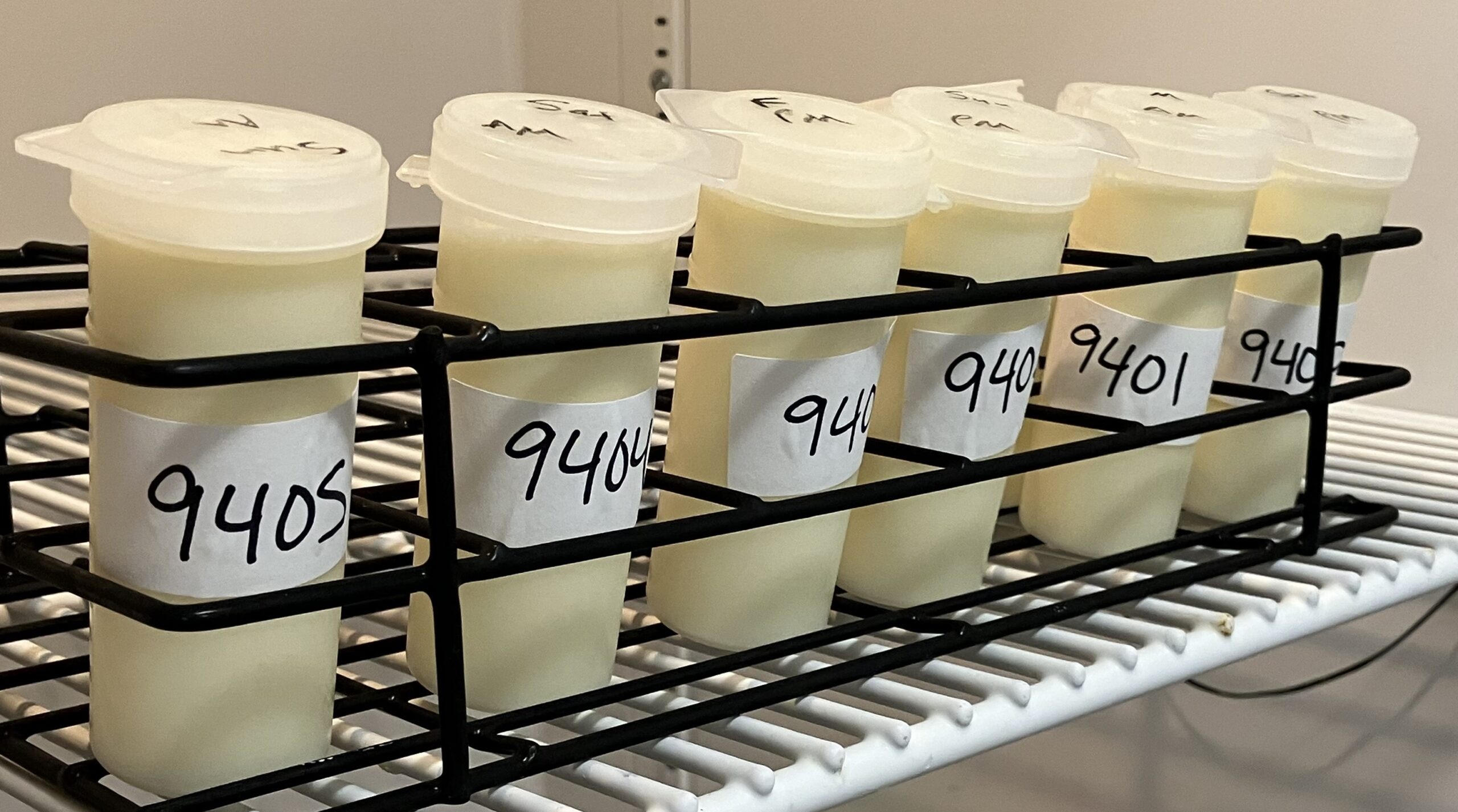 Dairy Month Spotlight: Maine Milk Lab - Real Maine