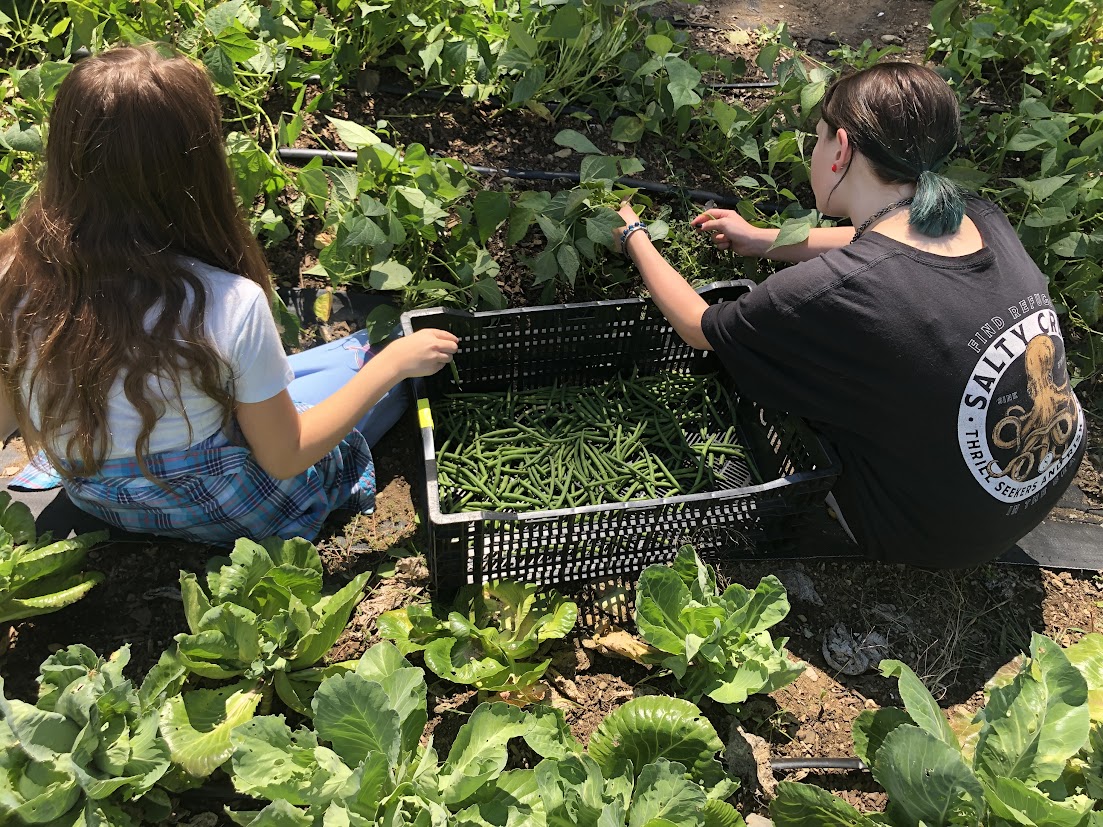 Youth In Agriculture Spotlight: Nooney Farm - Real Maine